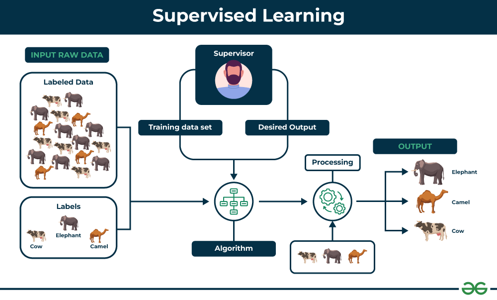 Introduction to Machine Learning: Supervised Learning | GenAI Works